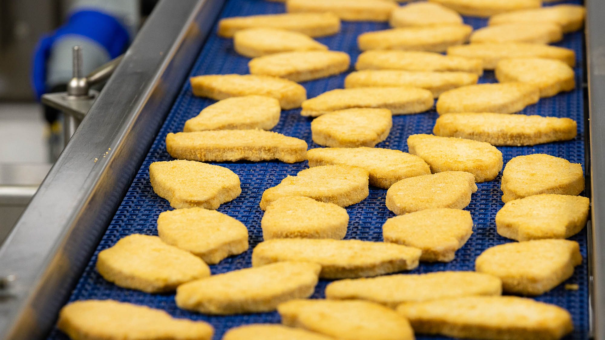 Marlow Foods & JBT: a plant-based partnership - The JBT Protein Blog