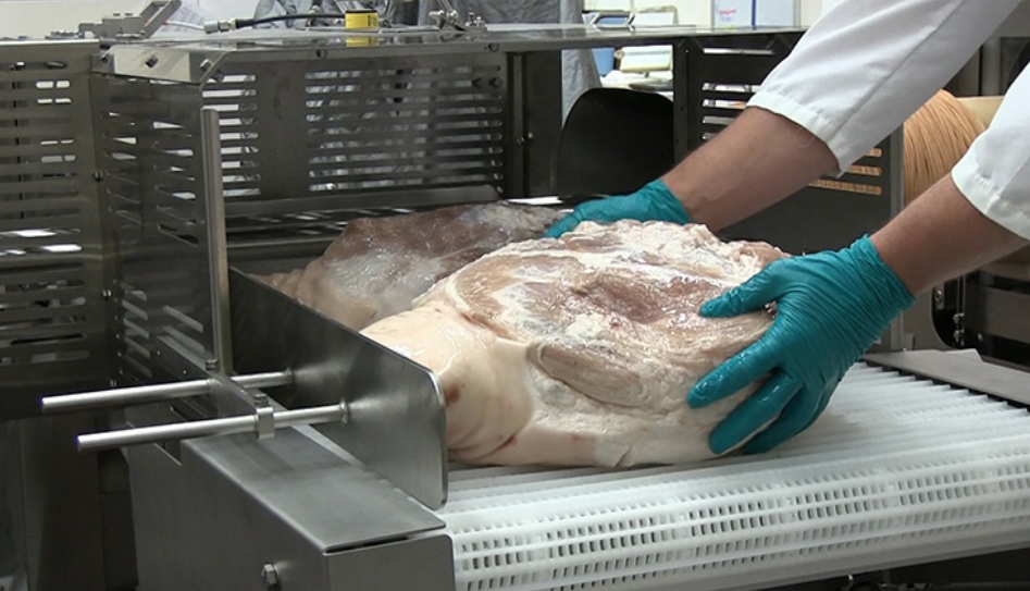 Meet the TN2004: The automatic ham packing system that nets big savings ...